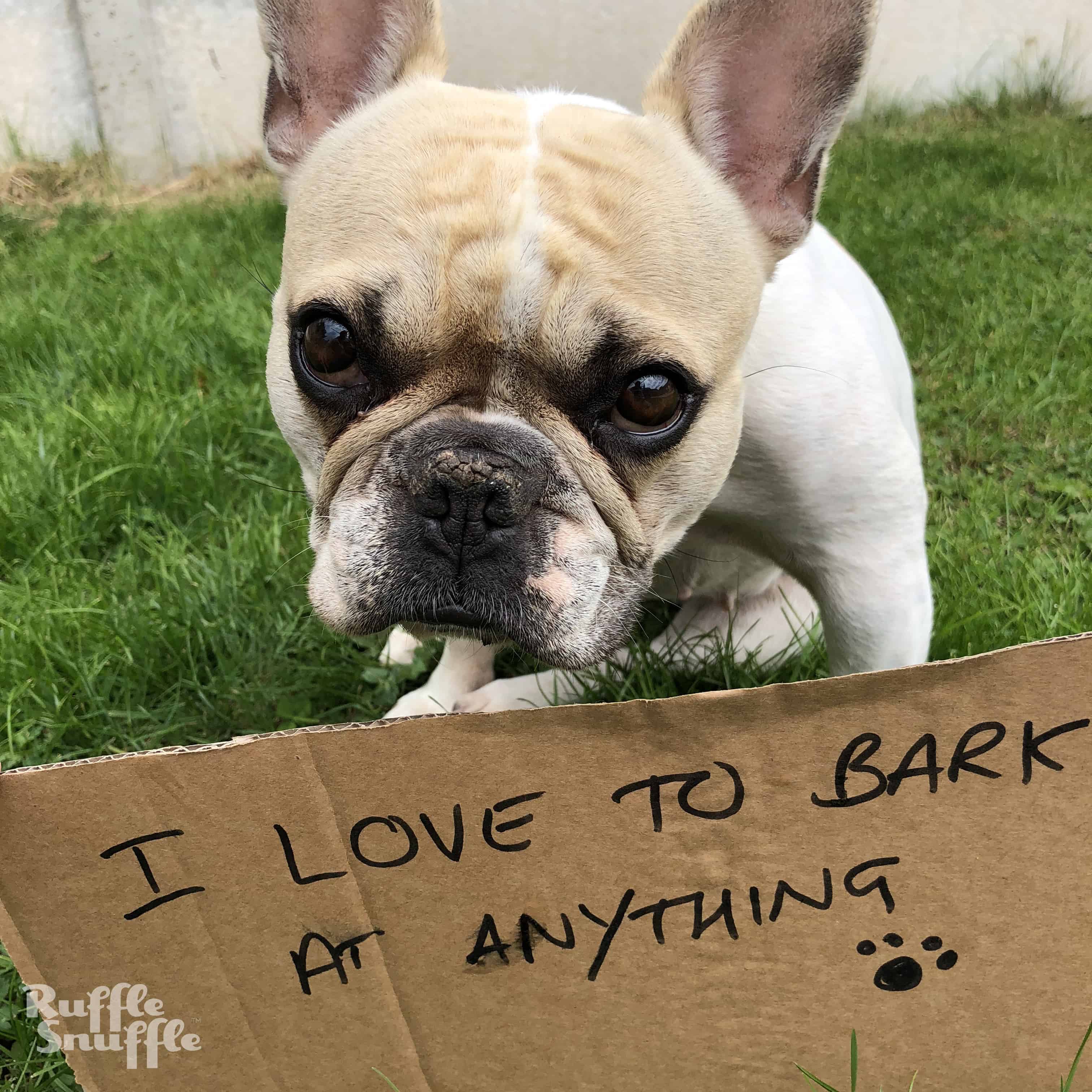 snuffle-mat-how-to-teach-your-dog-to-bark-on-command-ruffle-snuffle