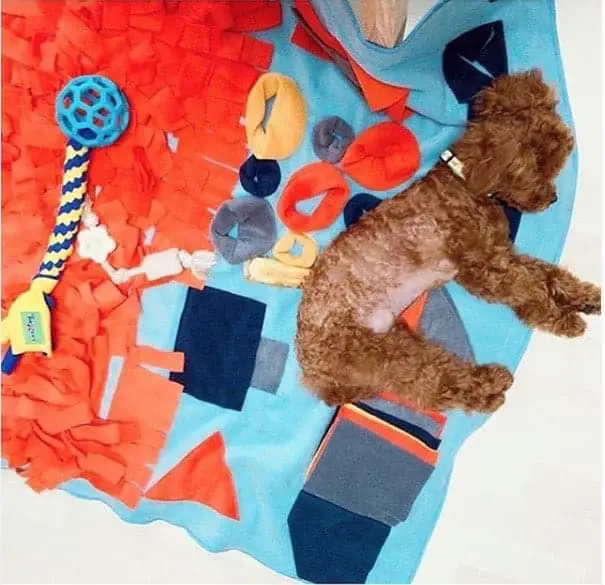 Snuffle mat Gallery • Ruffle Snuffle