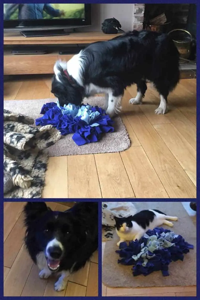 Snuffle mat Gallery • Ruffle Snuffle