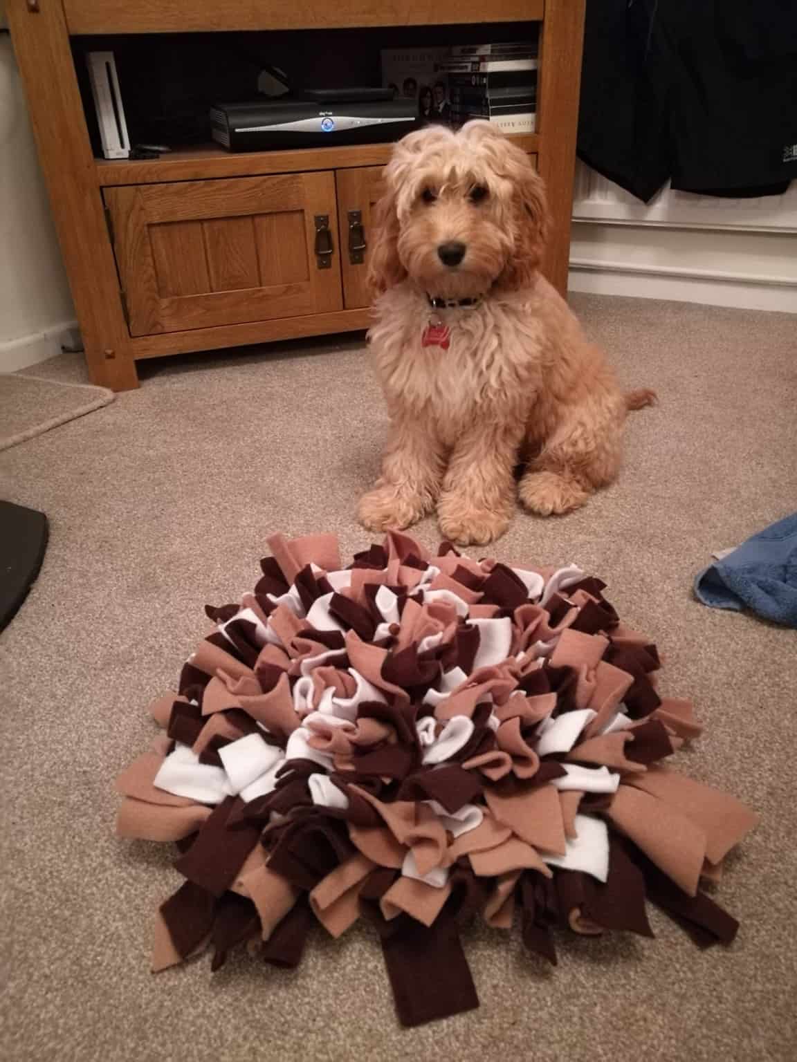 Gallery • 2025 Ruffle Snuffle