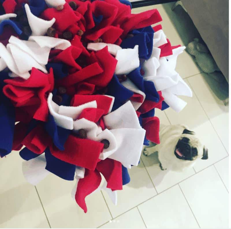 Gallery • 2025 Ruffle Snuffle