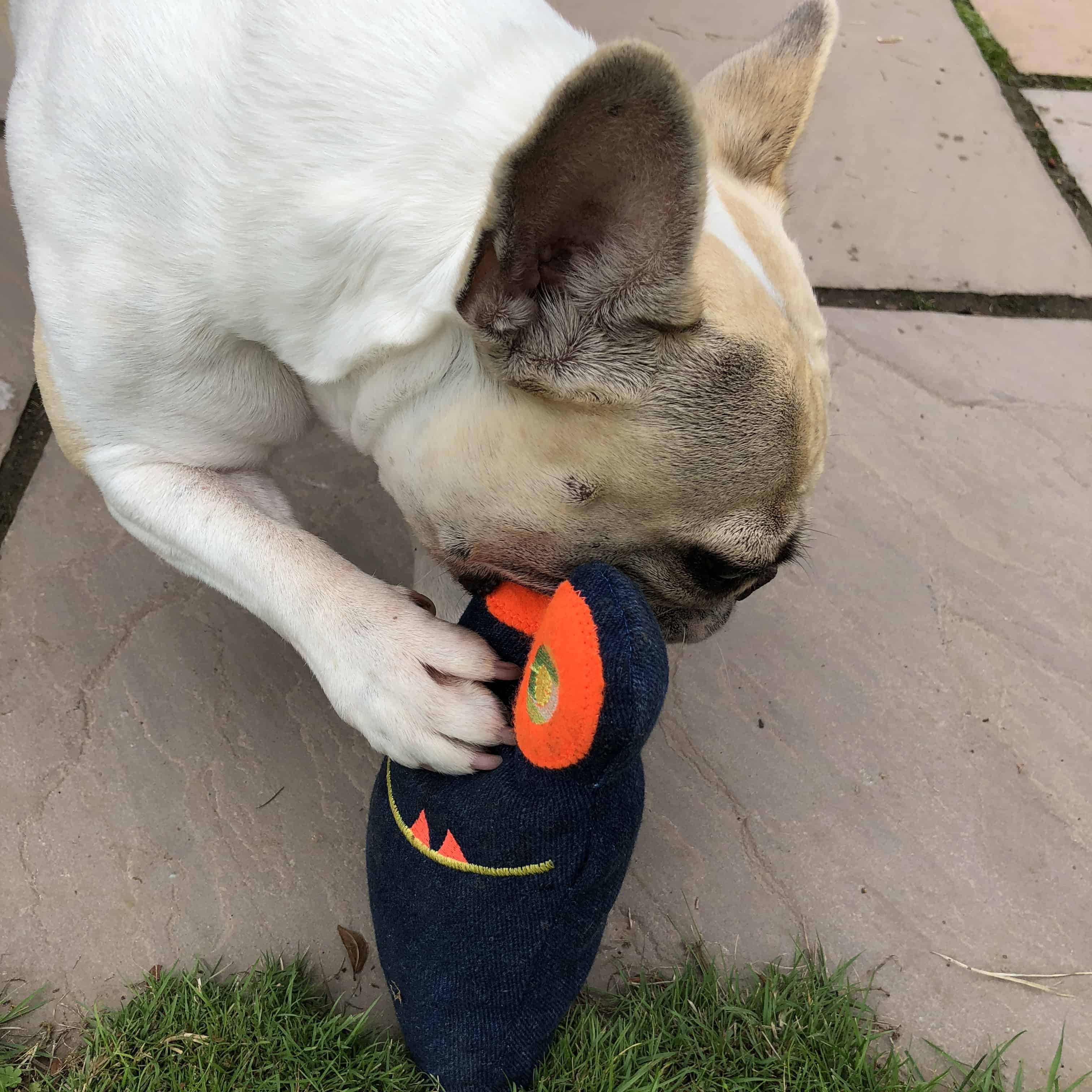 Ruffle Snuffle • Original snufflemats and enrichment toys for pets