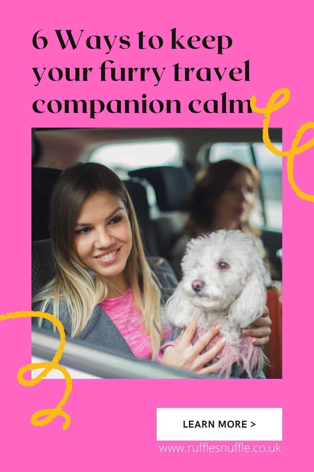 6 Ways To Keep Your Furry Travel Companion Calm