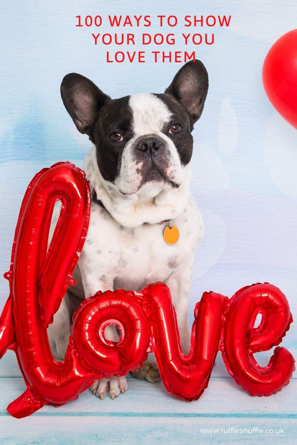 100 ways to show your dog you love them