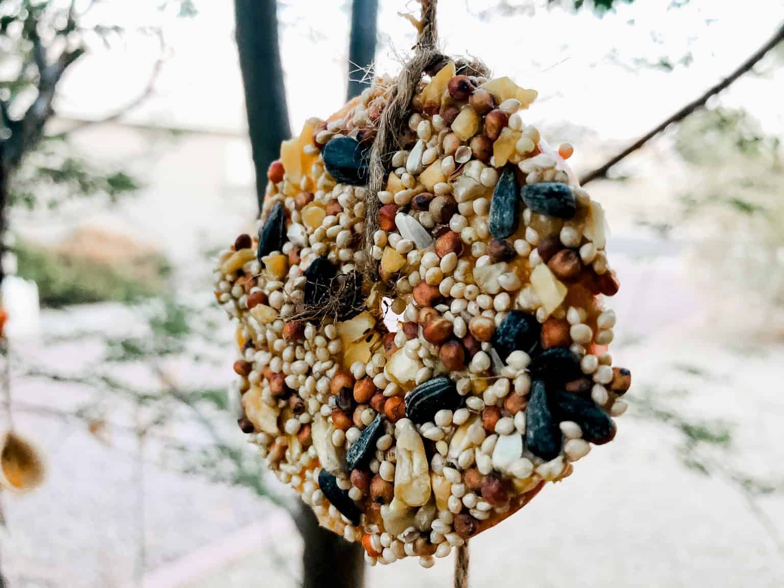 Apple Bird Feeder • 2025 Ruffle Snuffle