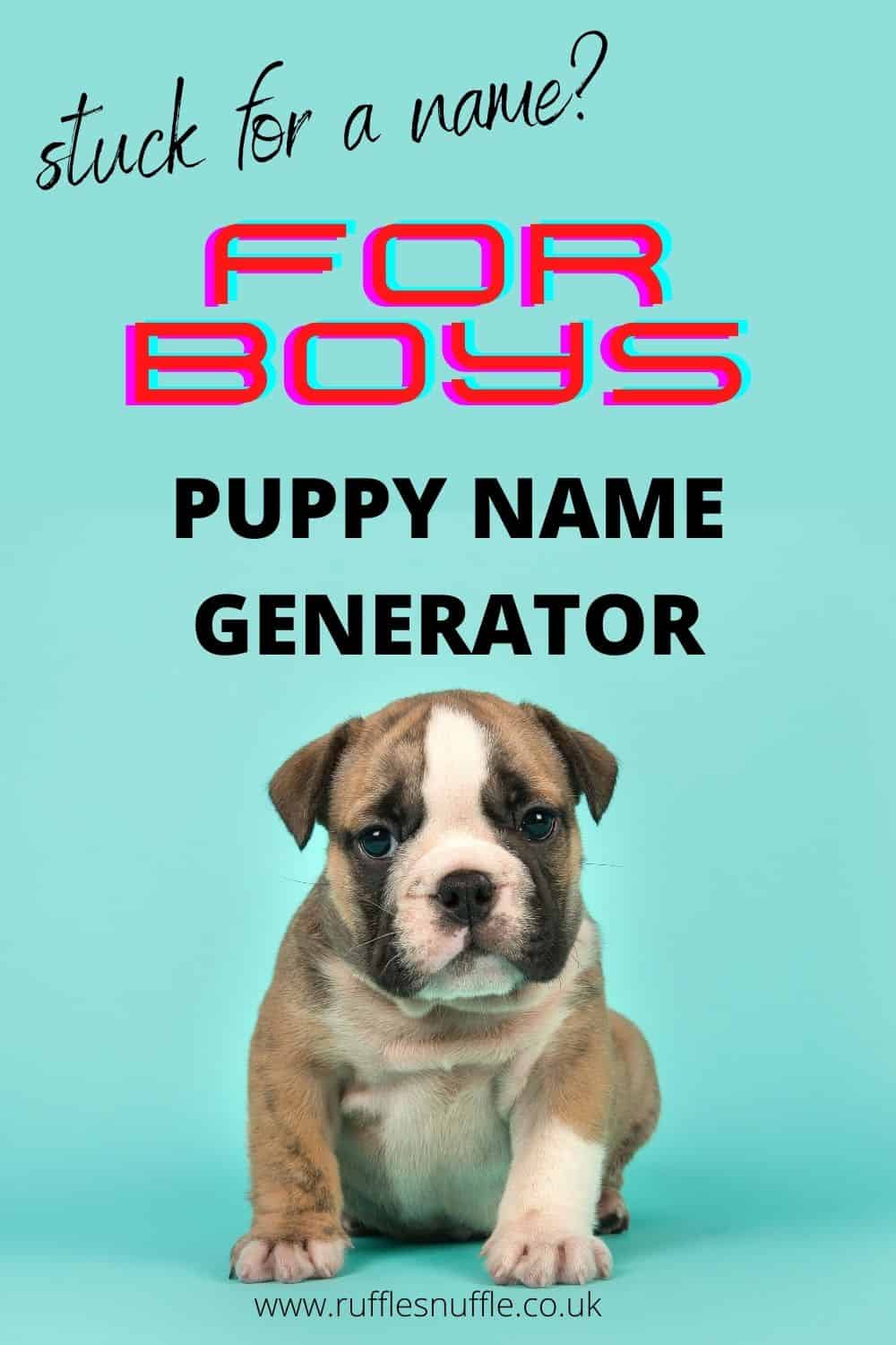Boy Puppy Name Generator
