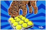 Muffin Tin Game For Dogs: Food Puzzle Enrichment • 2025 Ruffle Snuffle