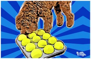 Muffin Tin Game For Dogs: Food Puzzle Enrichment • 2025 Ruffle Snuffle