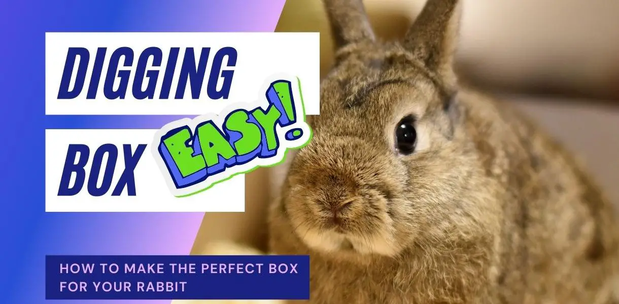 How To Make The Perfect Rabbit Digging Box For Indoor And Outdoor ...