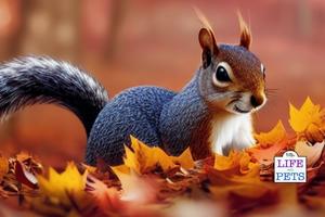What I Wish I'd Known About Acorn Poisoning In Dogs: Signs, Prevention ...