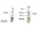 Dog Paw Anatomy 101: Everything You Need To Know • 2023 Ruffle Snuffle