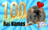 100 Rat Names: Cool And Creative Names For Your Fuzzy Rodent Friends ...