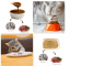 Unveiling The Science Behind Pet Food Palatability Enhancers: A ...