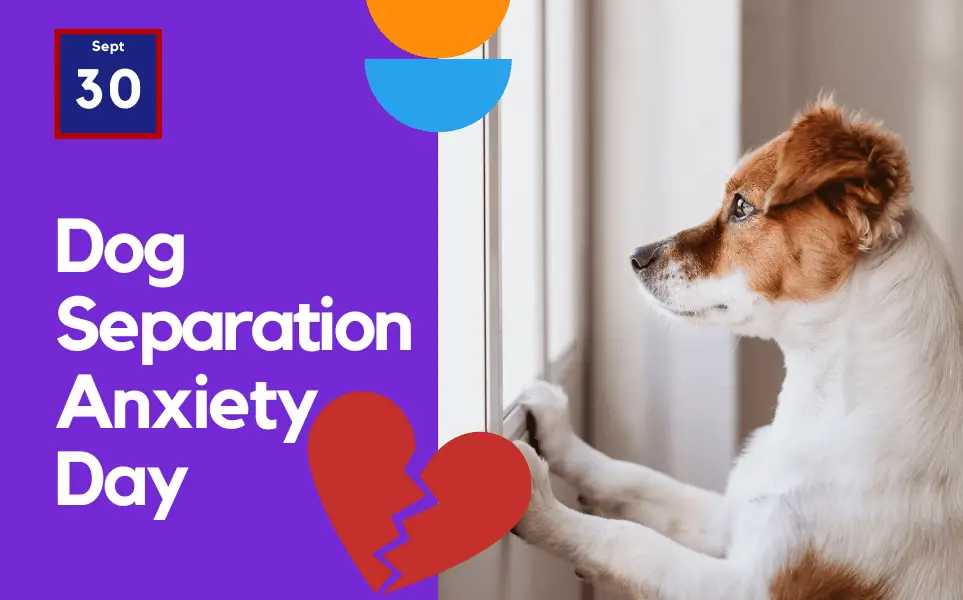 Sept 30th: Dog Separation Anxiety Awareness Day • 2023 Ruffle Snuffle