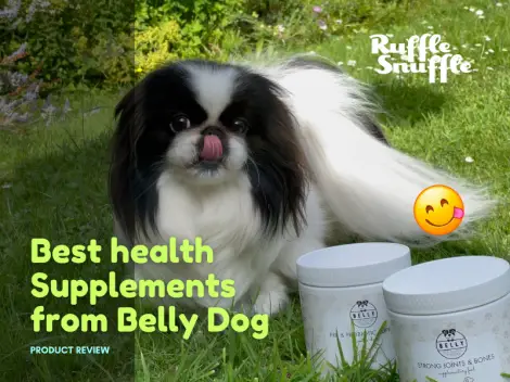 Ruffle Snuffle - Animal Behaviour And Enrichment Experts