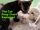 Understanding Your Cat's Digestive Health: The Cat Poop Chart Explained ...